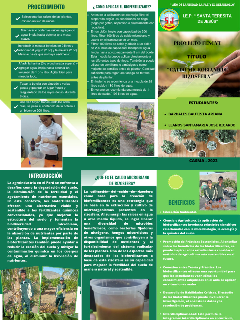 Triptico Fencyt Huaraz | PDF