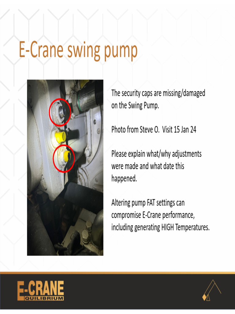 E-Crane Swing Pump | PDF