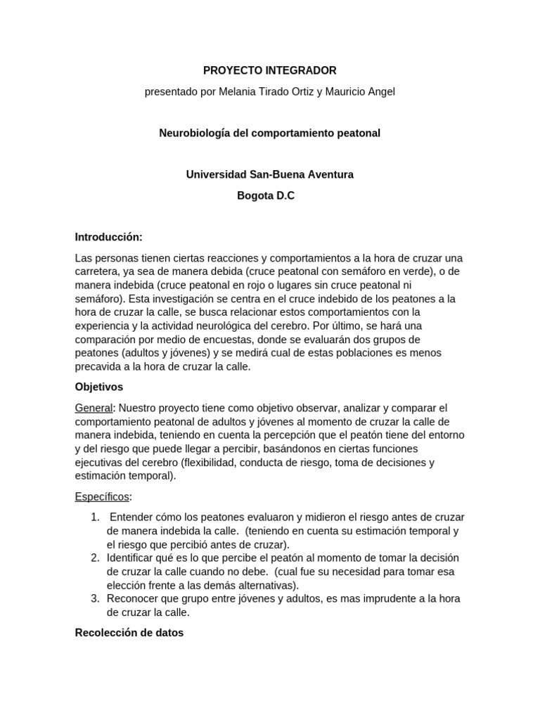 Proyecto integrador entrega | PDF