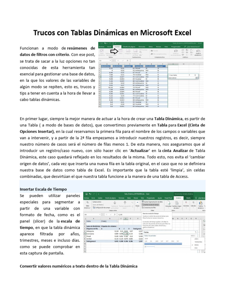 Trucos Con Tablas Dinámicas en Microsoft Excel | PDF