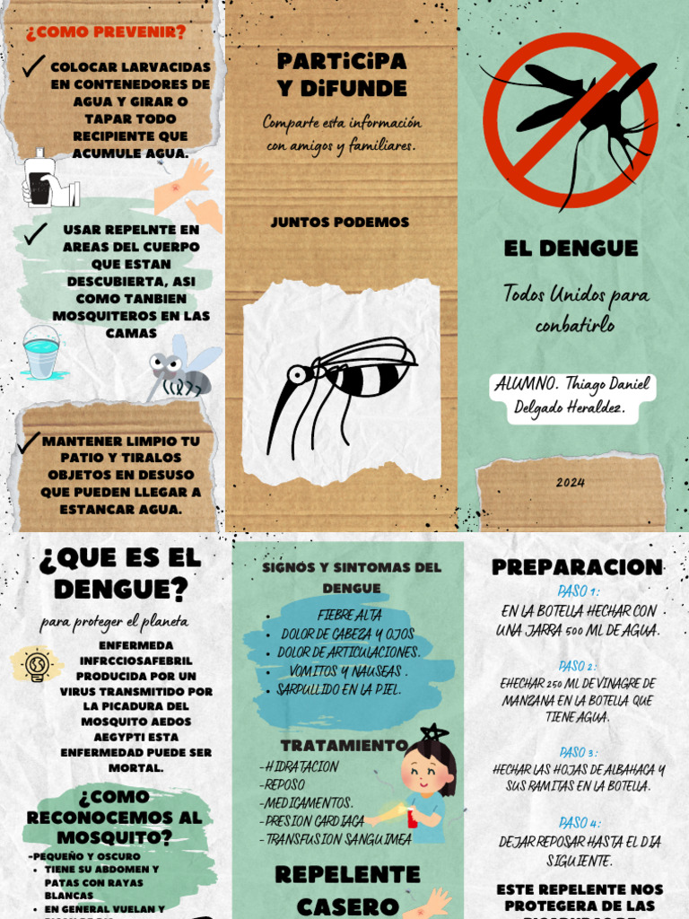 Triptico Dengue | PDF