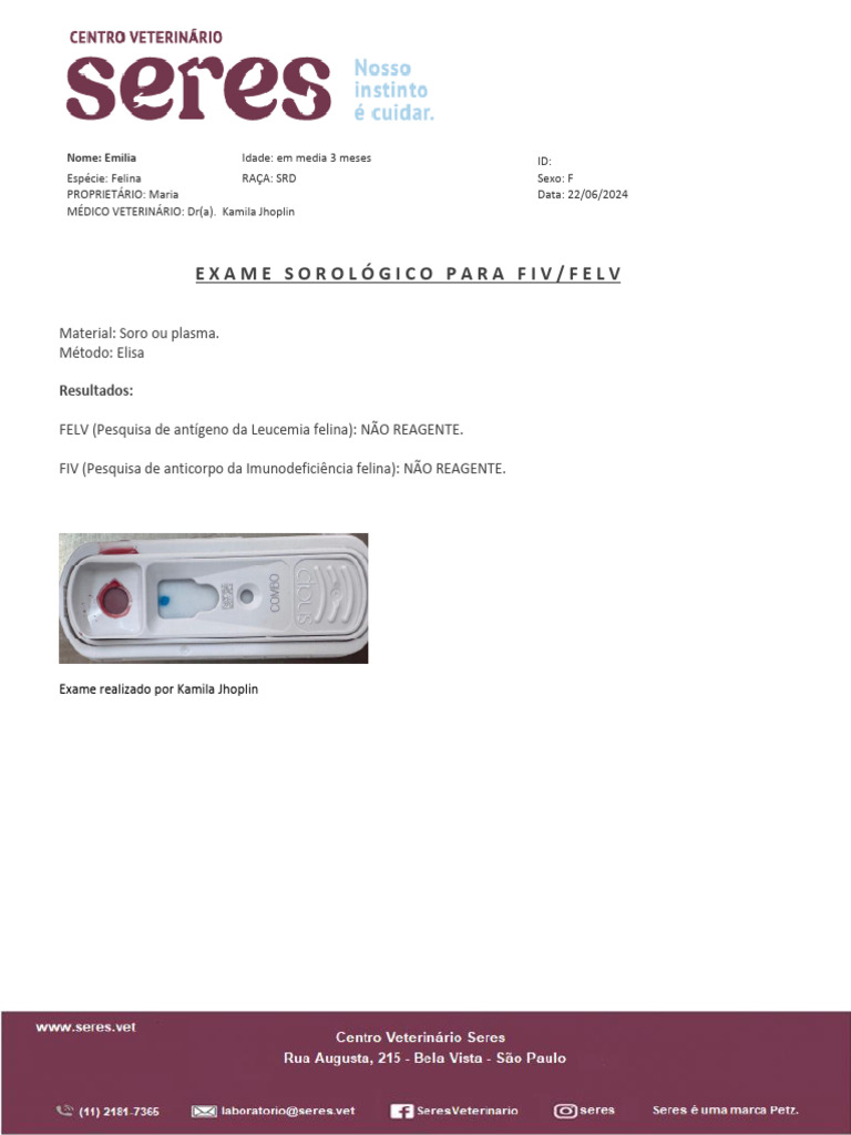 Snap Test FIV FELV Emilia | PDF