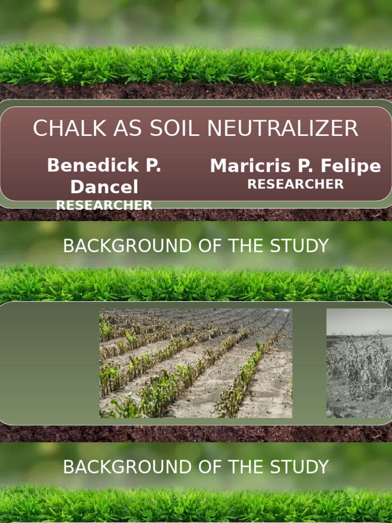 Soil Neutralizer | PDF