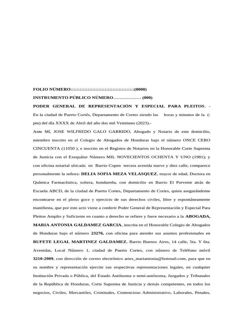 Poder de Representacion DELIA SOFIA (Galo) | PDF