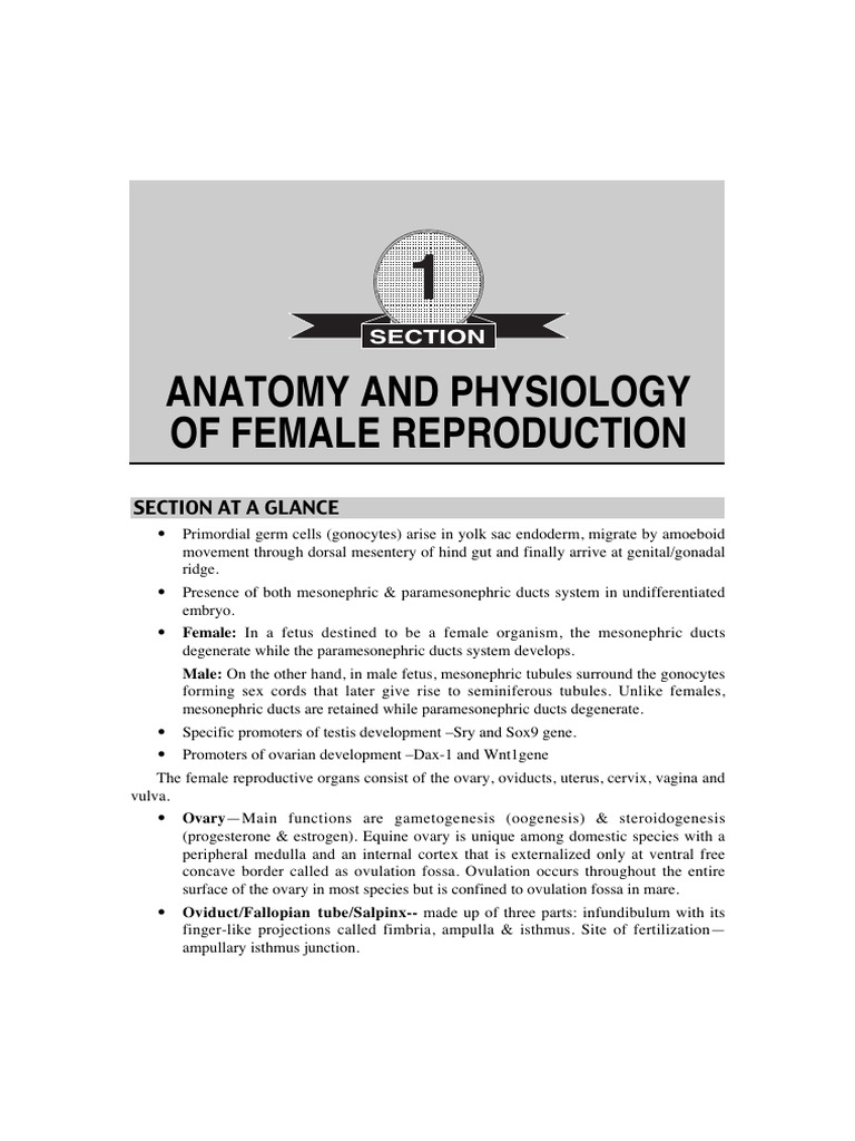 Anatomy and Physio of FRS | PDF | Luteinizing Hormone | Self-Improvement