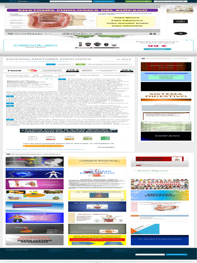 ESOFAGO ANATOMIA FISIOLOGICA - PPT Descargar | PDF