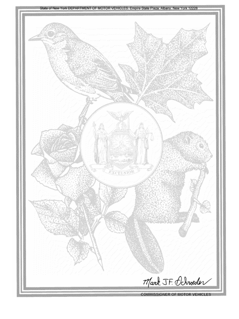 Personal Lifetime Abstract | PDF | Department Of Motor Vehicles ...