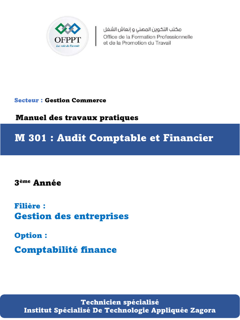 TP Audit-Comptable-et-Financier | PDF