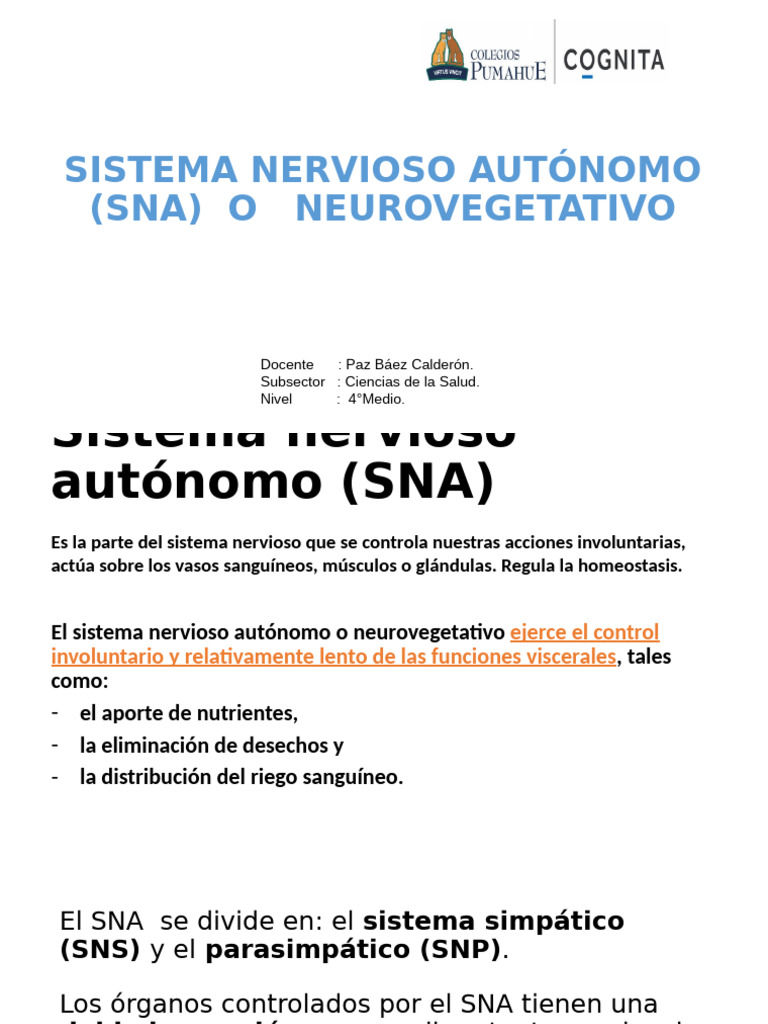 Sistema Nervioso Autónomo (SNA) | PDF