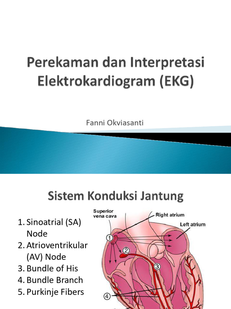 EKG | PDF