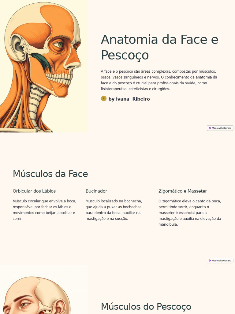 Anatomia Da Face e Pescoco | PDF