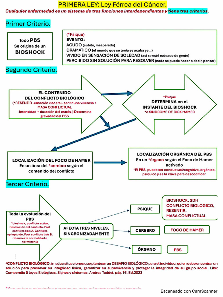 1a, 2a Ley Biológica de Hamer y Capas Embrionarias | PDF