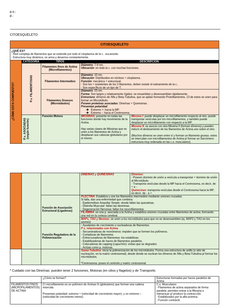 SBC 2 - Citoesqueleto | PDF