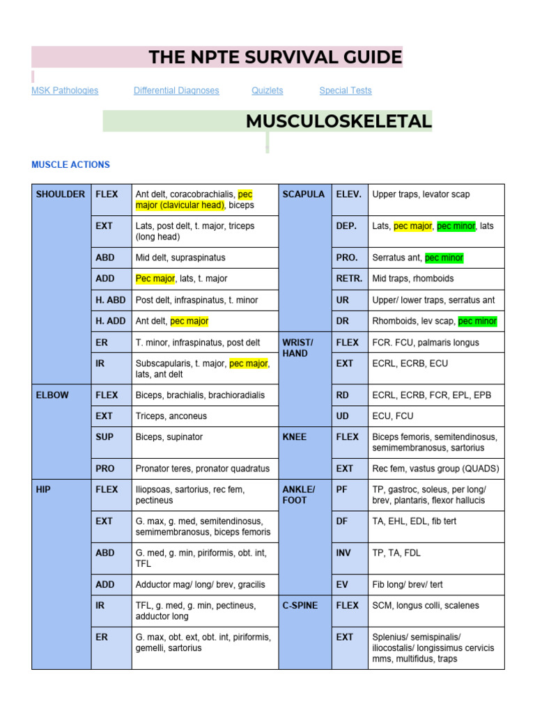 Npte Survival Guide 2 | PDF