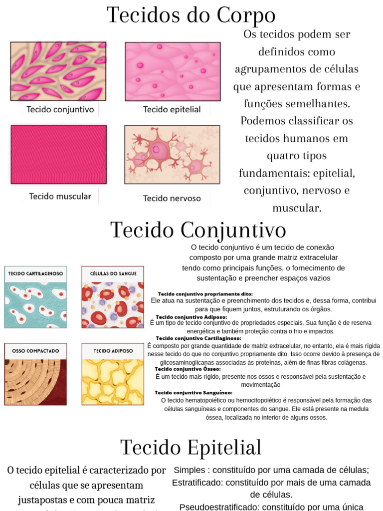 Tecidos Do Corpo - 20230910 - 145209 - 0000 | PDF | Tecido conjuntivo ...