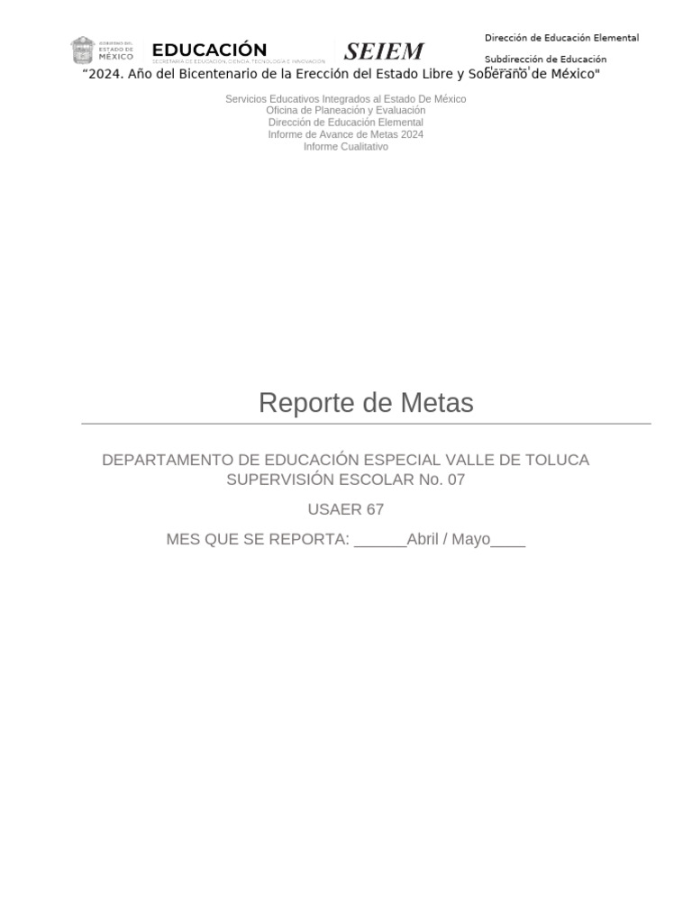 Formato Reporte de Metas | PDF