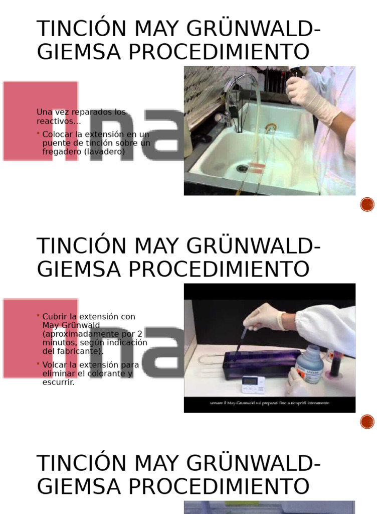 Nro 5.3 Preparacion y Procesamiento | PDF