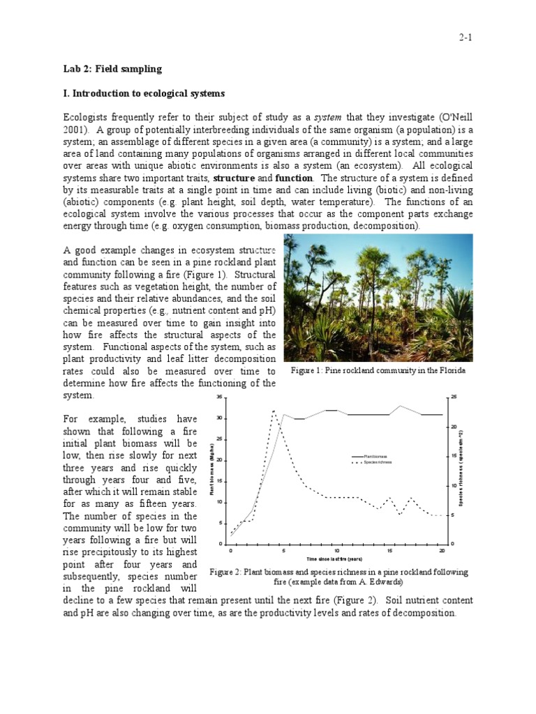 02-Sampling - Techniques Lab Report | PDF | Ecology | Sampling (Statistics)