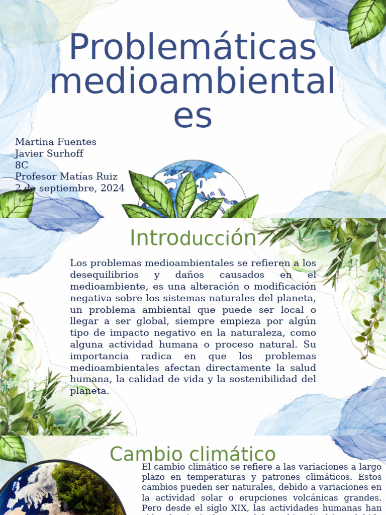 Problemas Medioambientales | PDF