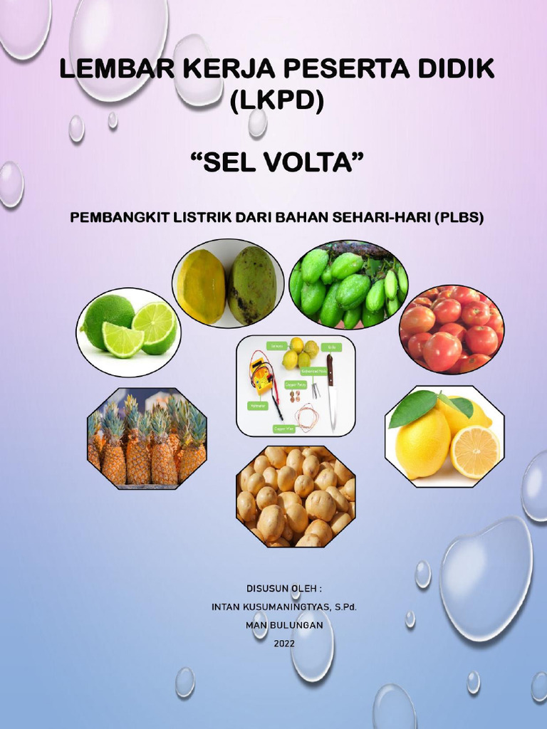 LKPD Sel Volta 2 | PDF