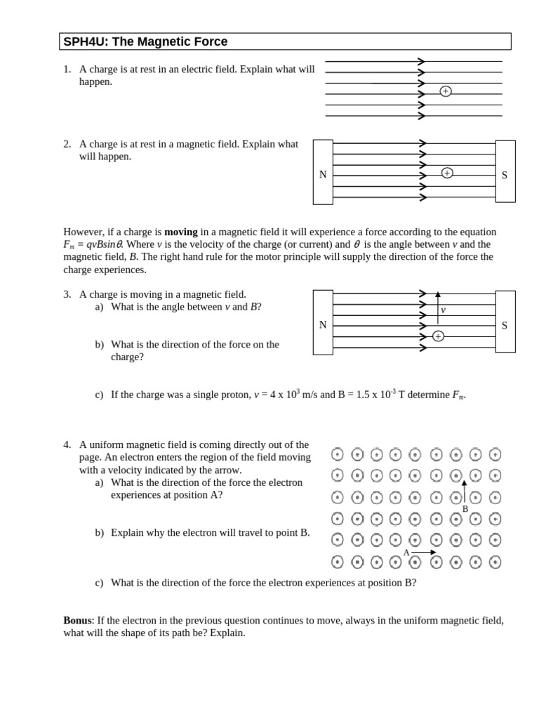 Worksheet - The Magnetic Force | PDF