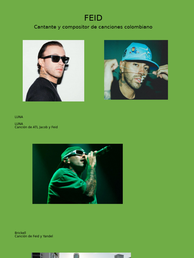 Presentación1 Feid | PDF | Arte