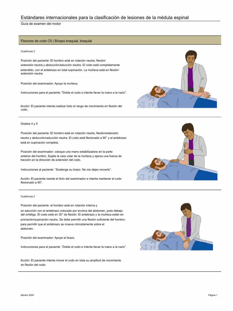 Motor Exam Guide | PDF
