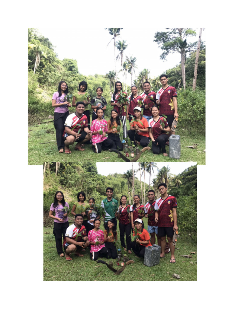Documentation Tree Planting | PDF