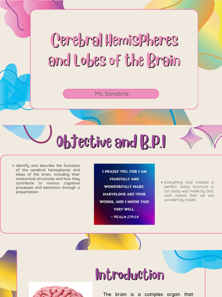 Brain Hemispheres and lobes | PDF