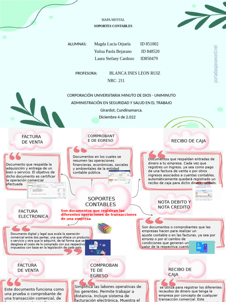 Mapa Mental Contabilidad | PDF