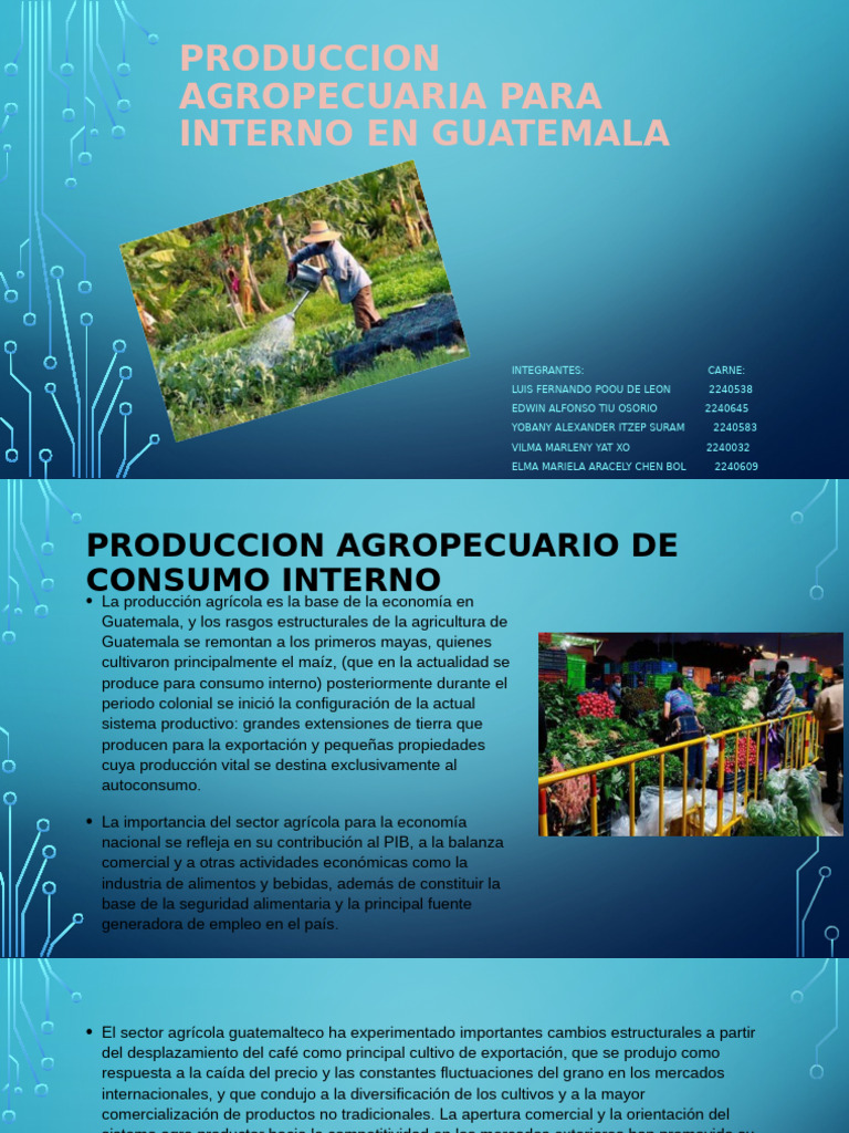 Produccion Consumo Interno | PDF