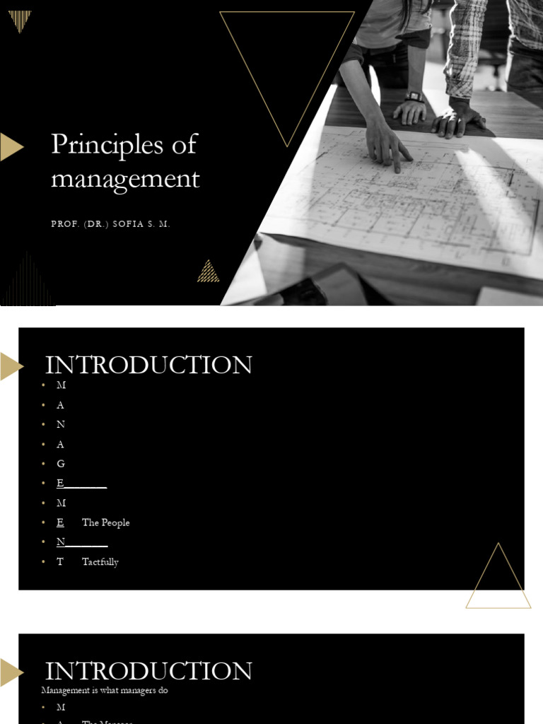 Introduction Principles of Management | PDF
