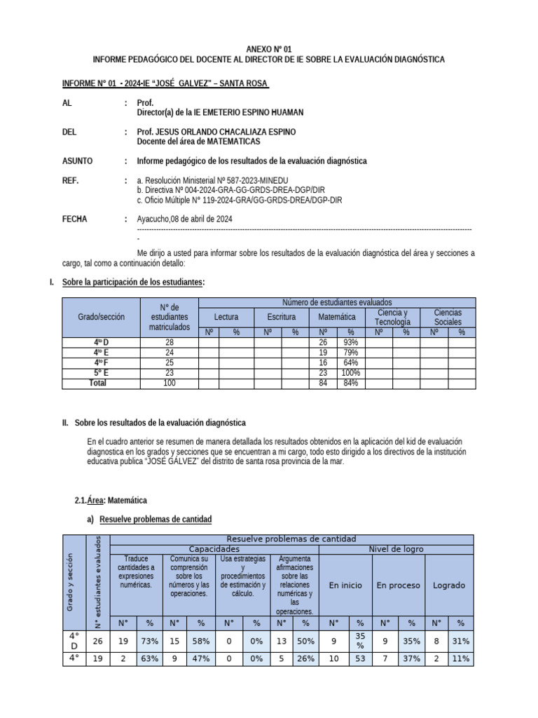 Informe De La Evaluacion Diagnostica Chaca Pdf 0646
