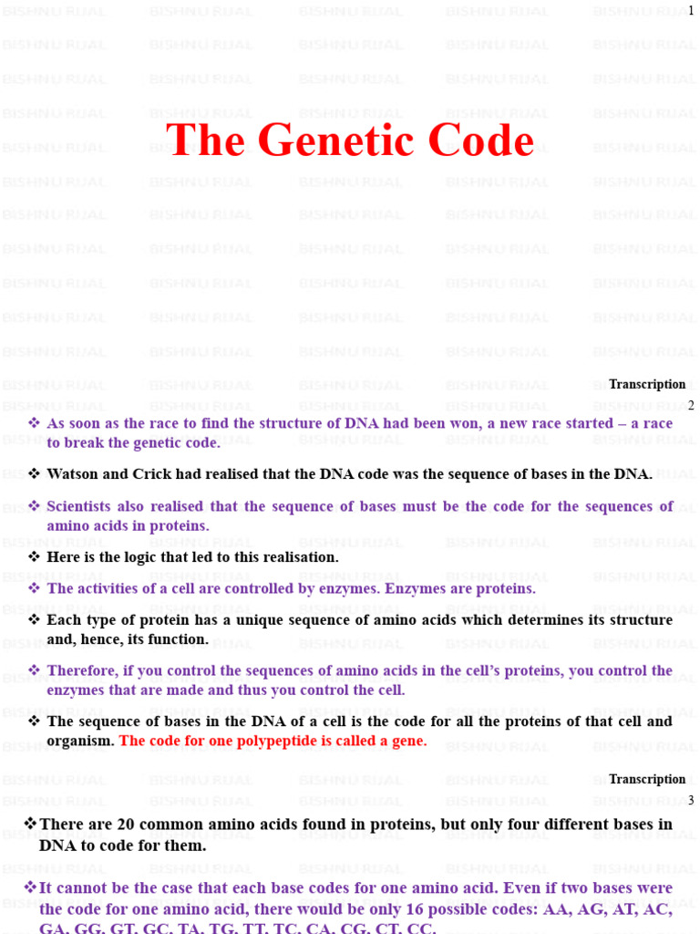 Genetic Code Translation and Transcription | PDF