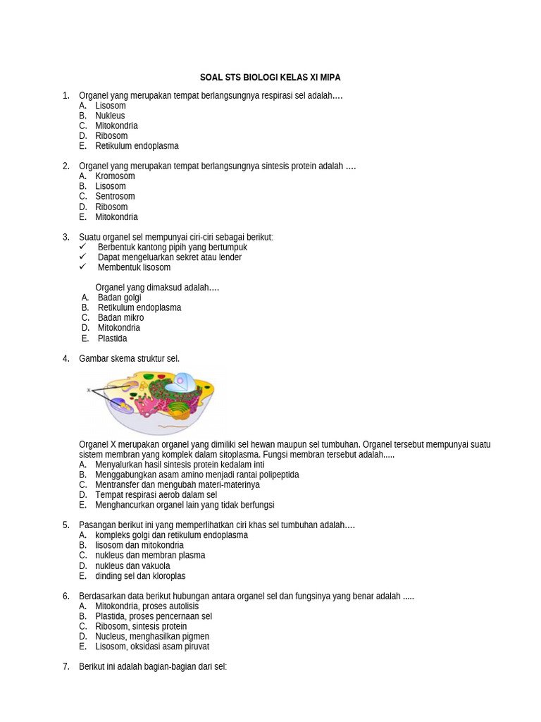 Soal STS Biologi Kelas Xi Mipa | PDF