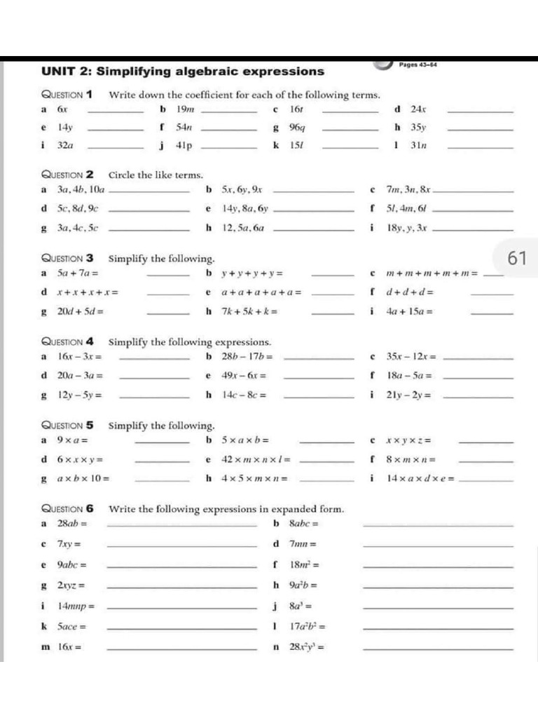 Alzebra Worksheet | PDF