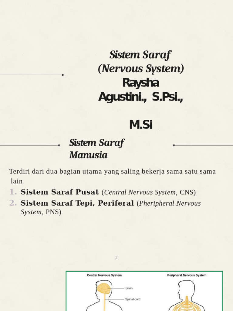 Sistem Saraf | PDF