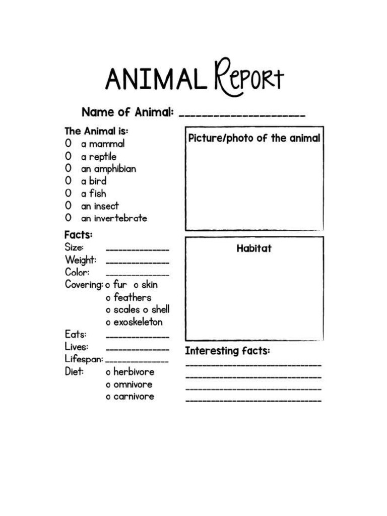 Animal Report | PDF