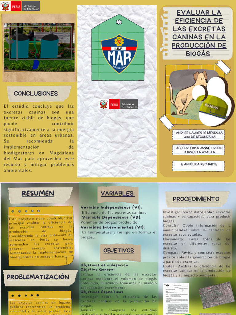 Triptico Eureka 2024 | PDF