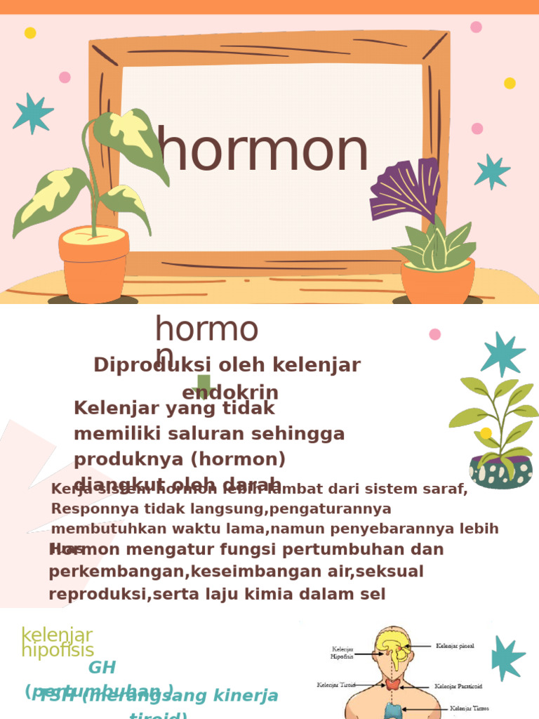 Hormon Pdf