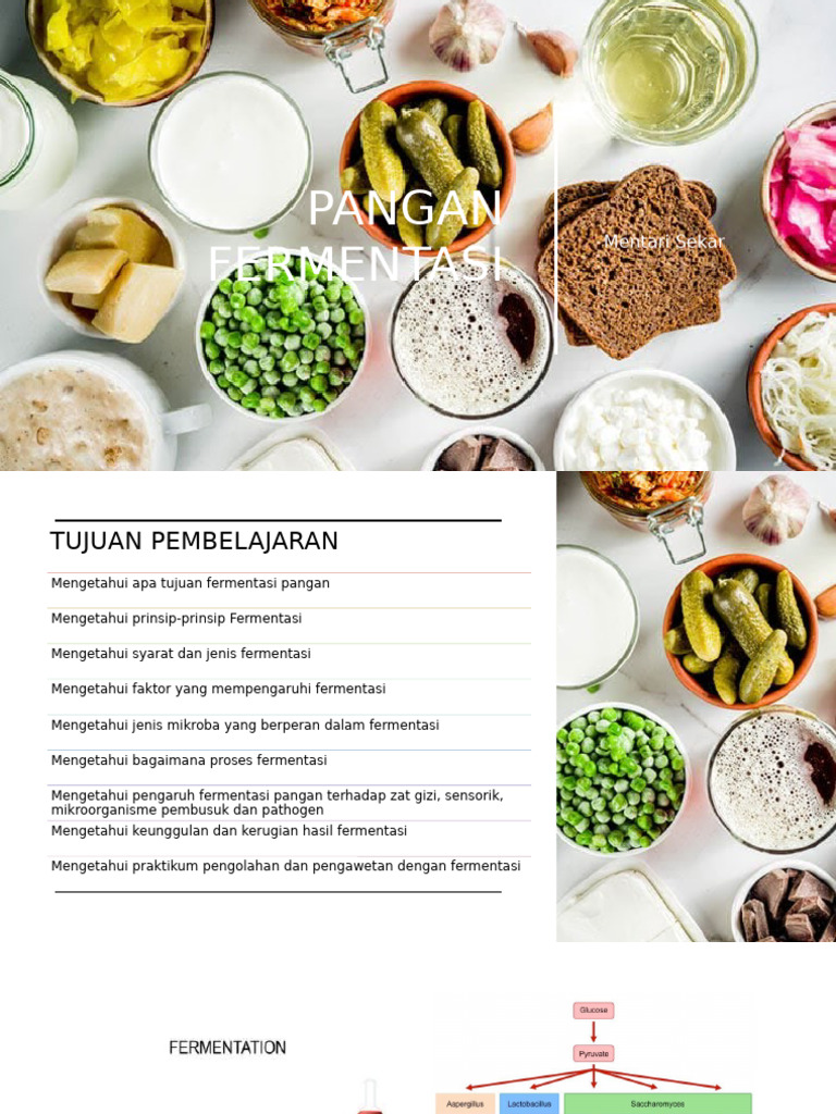 Pangan Fermentasi Rev | PDF