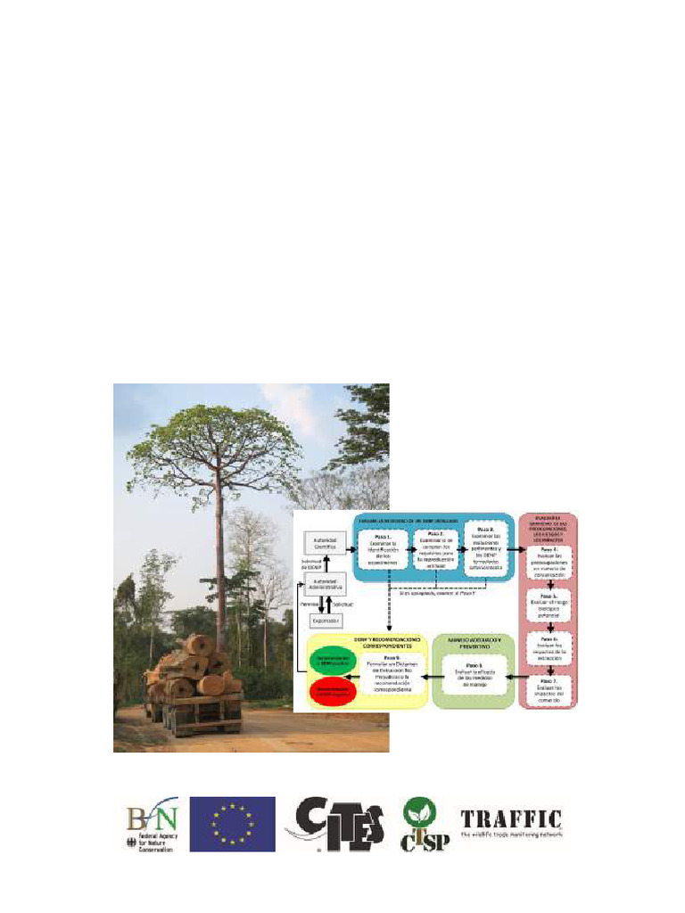 CITES Esp NDF Guidance For Trees VS3 Compressed | PDF | Technology ...