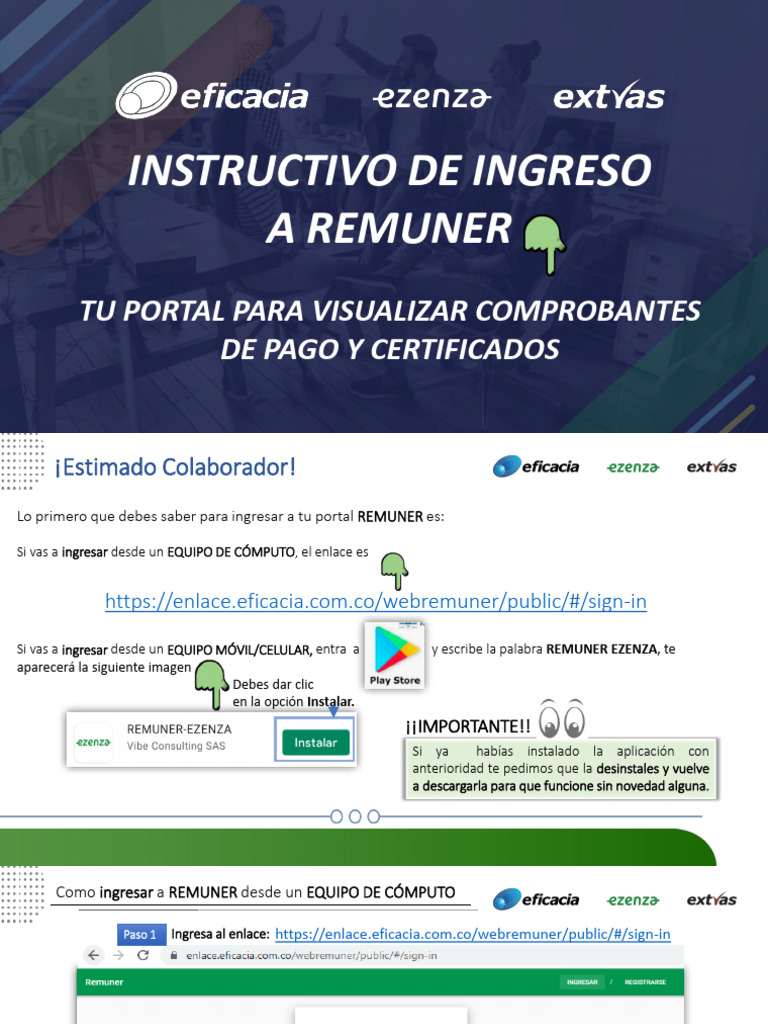 Instructivo Actualizado REMUNER | PDF