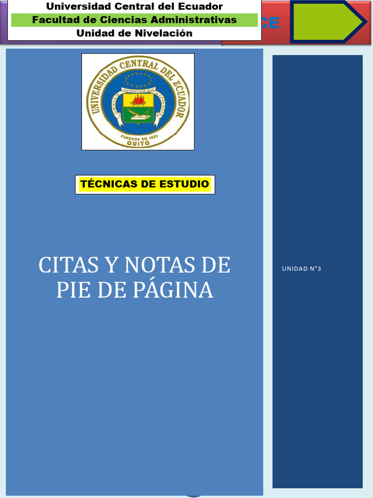 T15 Citas | PDF