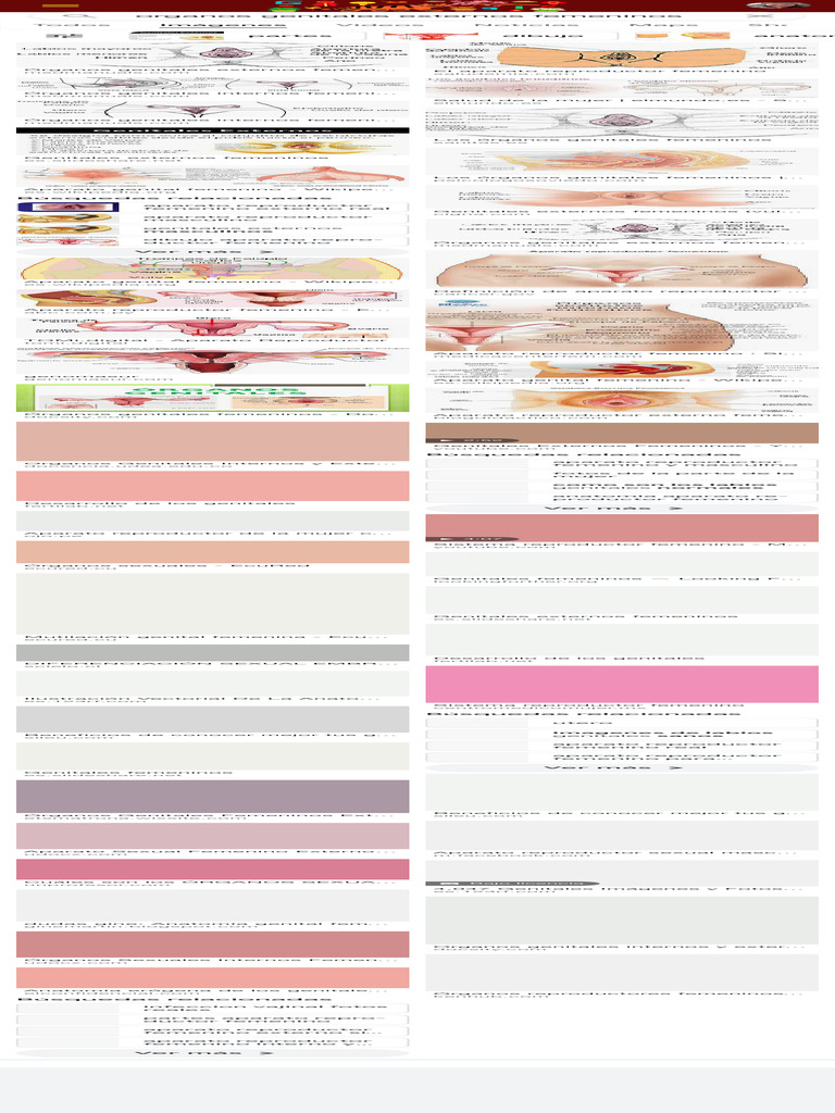 Organos Genitales Externos Femeninos - Búsqueda D | PDF | Sistema ...