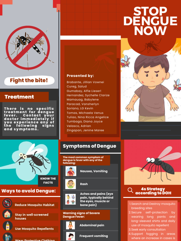 Stop Dengue Now | PDF