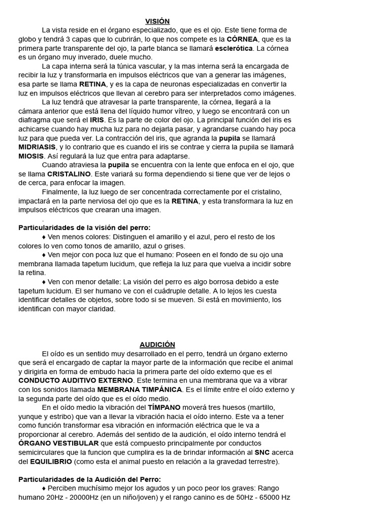 Sentidos del Perro - Anatomia - notas de clase | PDF