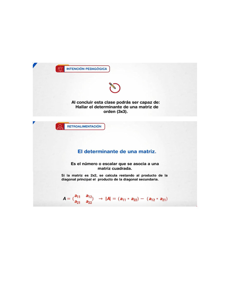 Determinante de Una Matriz 3X3 | PDF