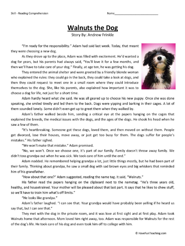 Free Walnuts The Dog Fourth Grade Reading Comprehension Worksheet | PDF