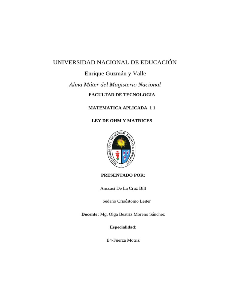 Proyecto Matematica | PDF